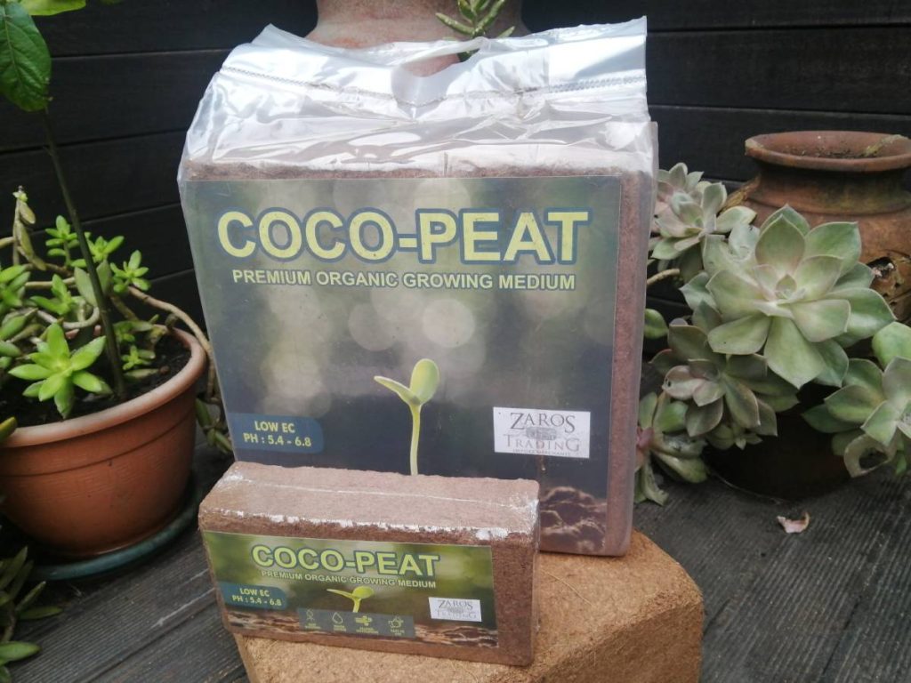 Coir Carpets - Coir Rugs and Flooring Collection @ 021 762 2227